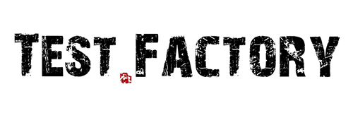 Gruppendiskussionen, Mystery Shopping, Mystery Calls